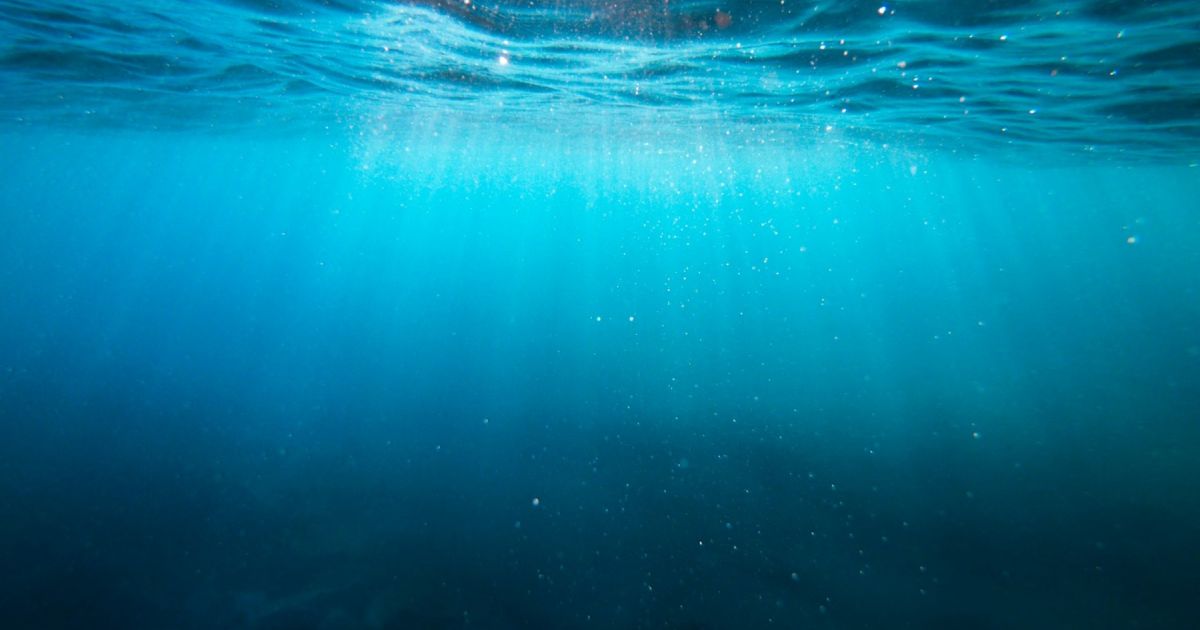 Guide to Sustainable Development Goal 14: Life Below Water (SDG 14 ...